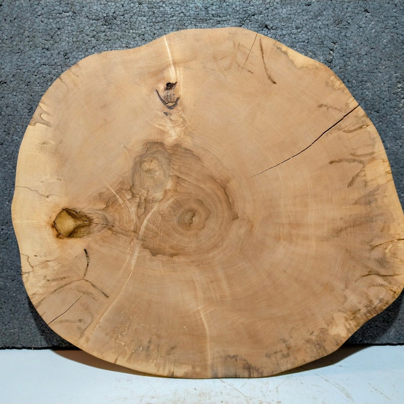 Baumscheibe - Etsy.de