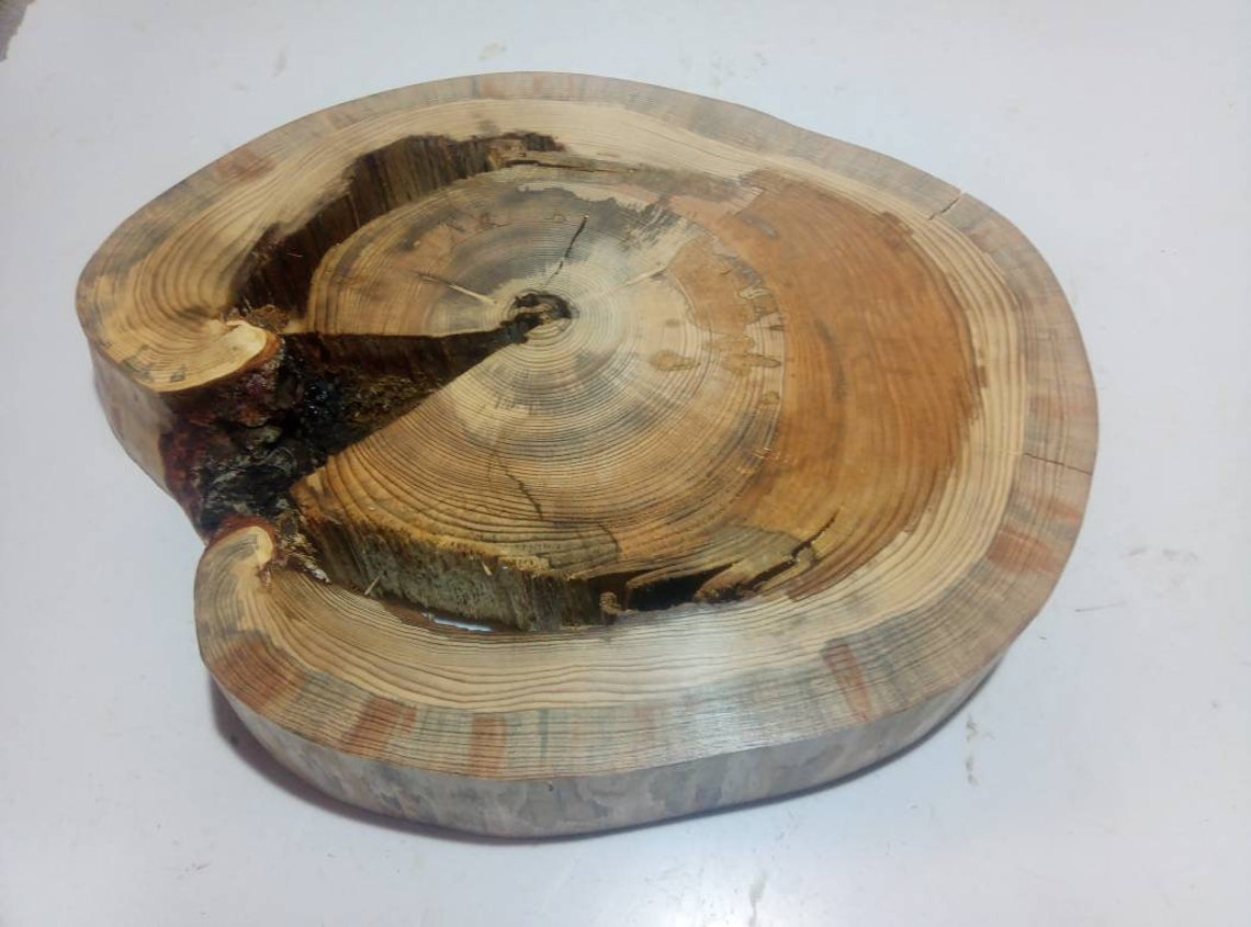 Tree disc wooden disc spruce wood disc | Etsy