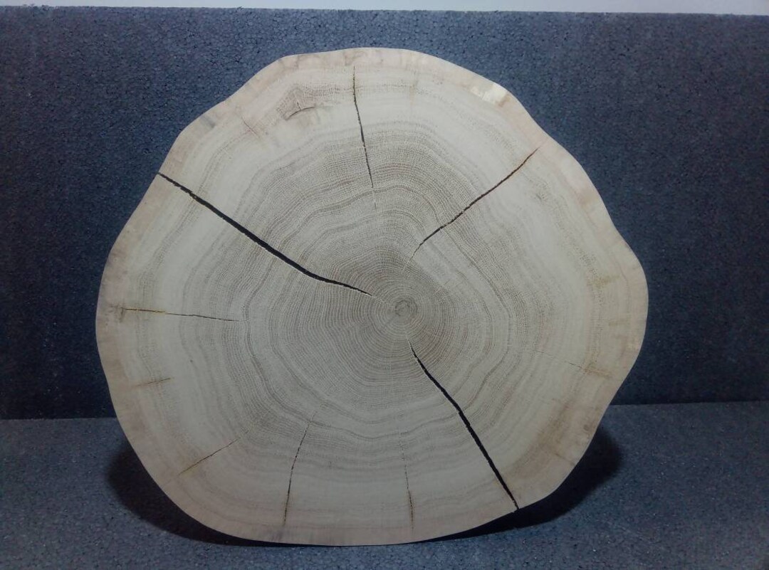 XL Large Tree Disc, Wooden Disc, Wood, Wooden Decoration, Hammered Oak ...