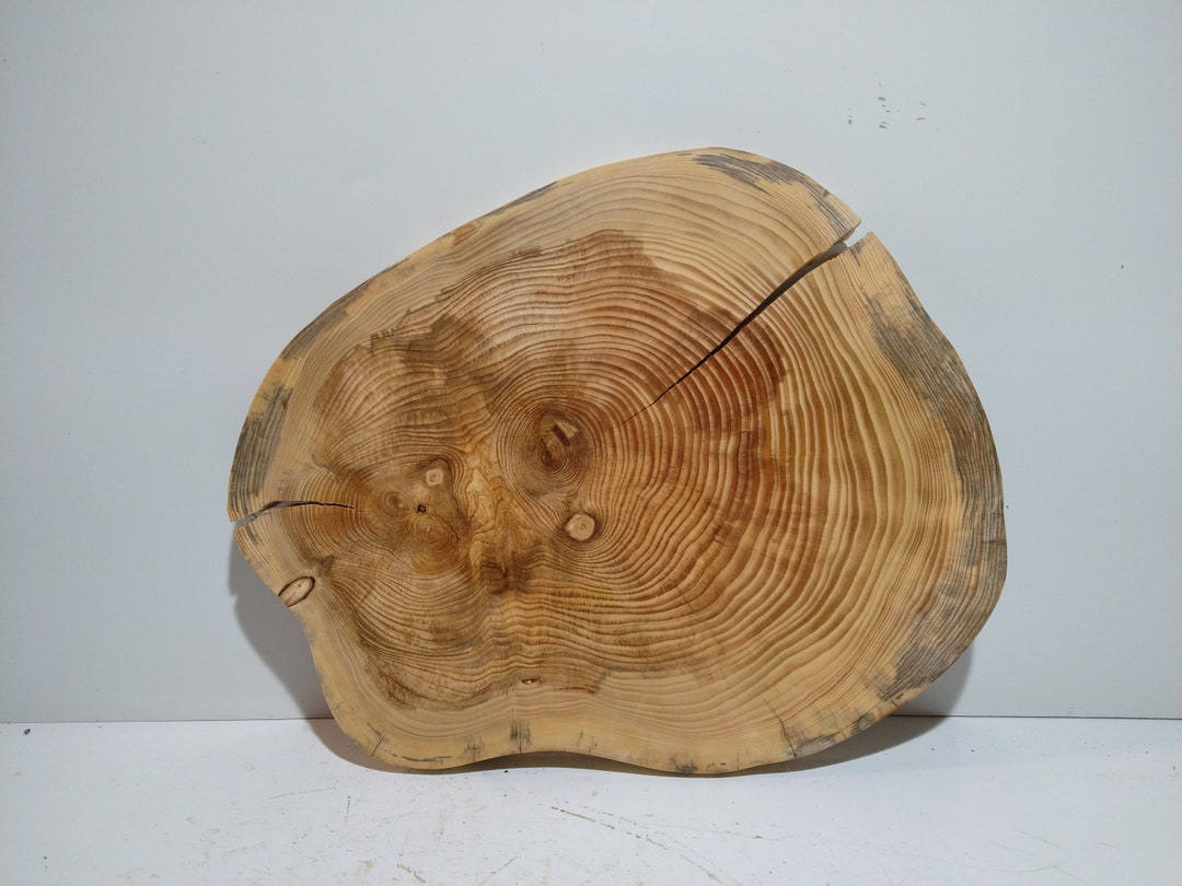 Large, Tree Disc, Branching, Wooden Disc, Craft Wood, Wooden Decoration ...