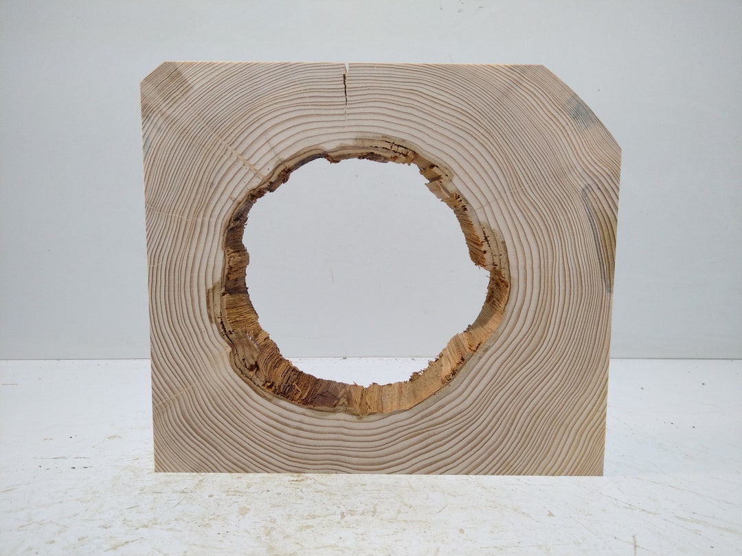 Tree Disc, Beam Disc, Wooden Disc, Wood, Wooden Decoration, End Grain ...