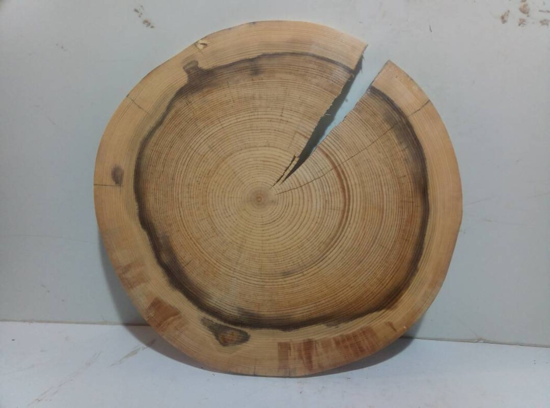 Tree Disc, Wooden Disc, Spruce, Wood, Disc, - Etsy