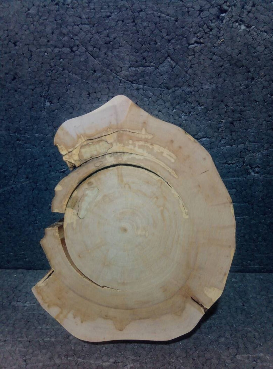 Tree Disc, Wooden Disc, Wood, Wooden Decoration, Decoration, Wood ...