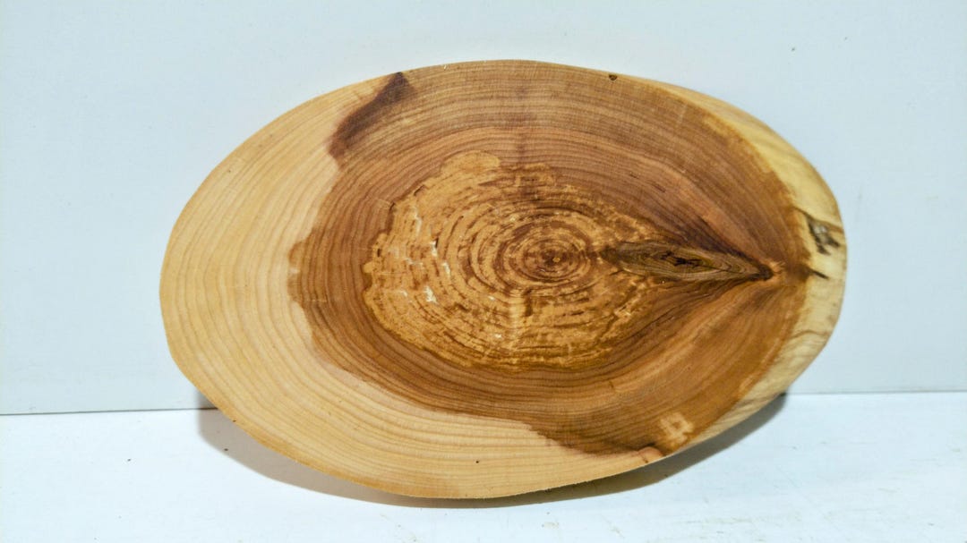 Small, Tree Disc, Wooden Disc, Wood, Wooden Decoration, Decoration ...