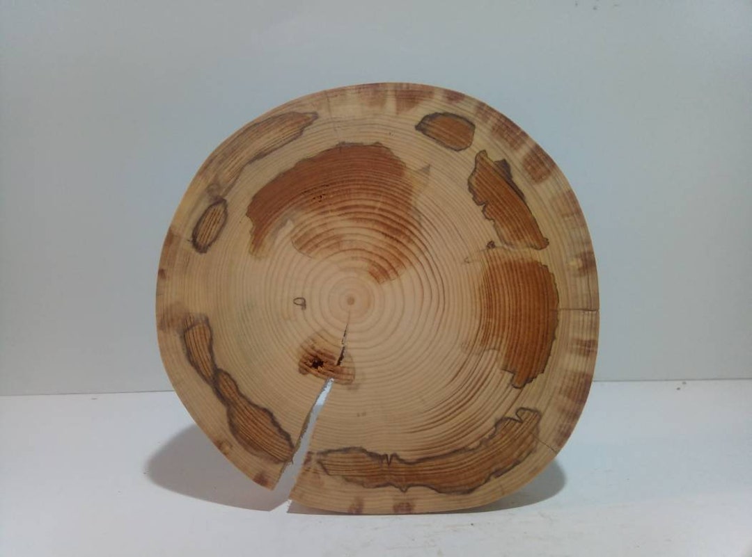 Tree Disc Wooden Disc Wood Wooden Decoration Decoration - Etsy