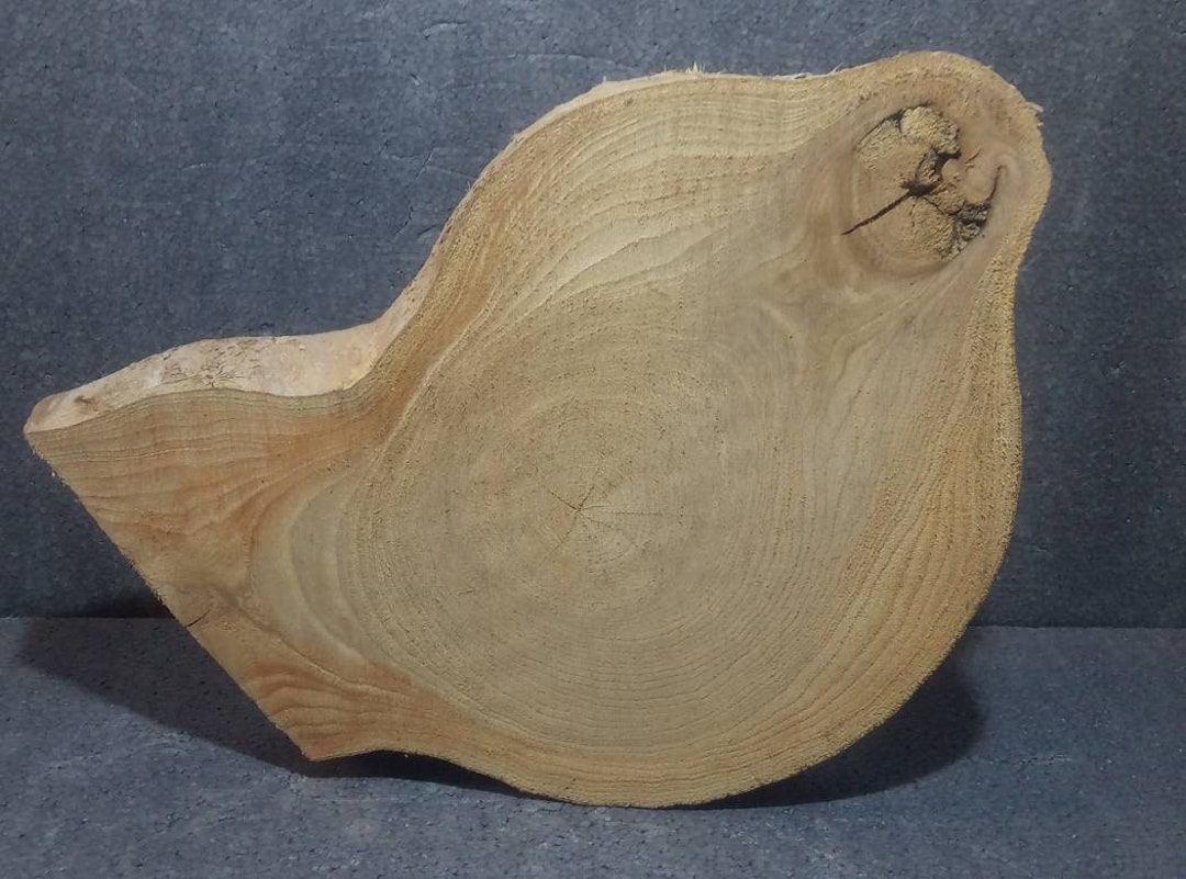 Large Tree Disc, Wooden Disc, Wood, Wooden Decoration, Handicraft Wood ...