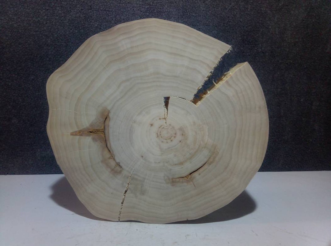 Tree Disc, Wooden Disc, Wood, Wooden Decoration, Handicraft Wood ...