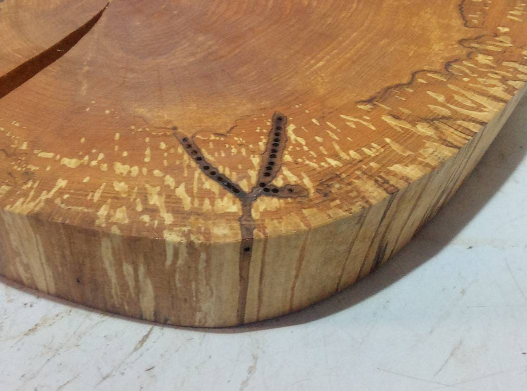 XXL Tree Disc Double Tree Disc Wooden Discwoodwood | Etsy