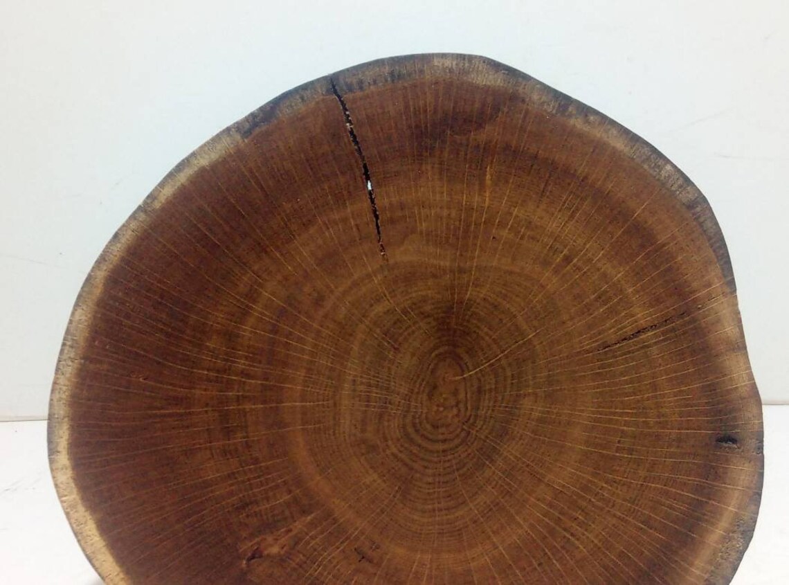 Tree disc wooden disc wood wood decoration hardened oak | Etsy