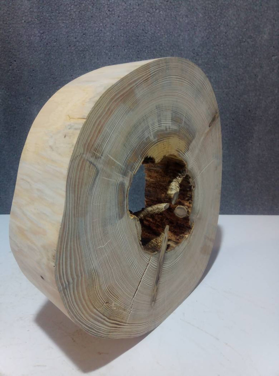 Large Tree Disc Wooden Disc Wood Wooden Decoration - Etsy