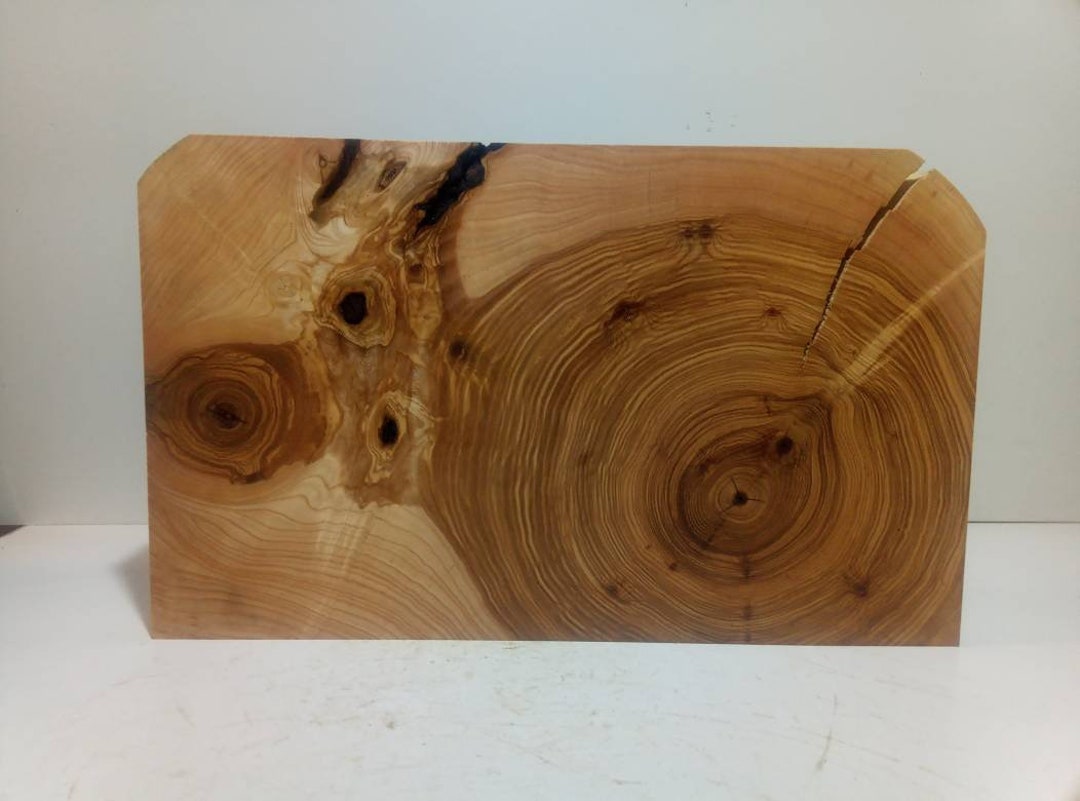 Large Tree Disc Beam Disc End Grain Wood Wooden Block - Etsy