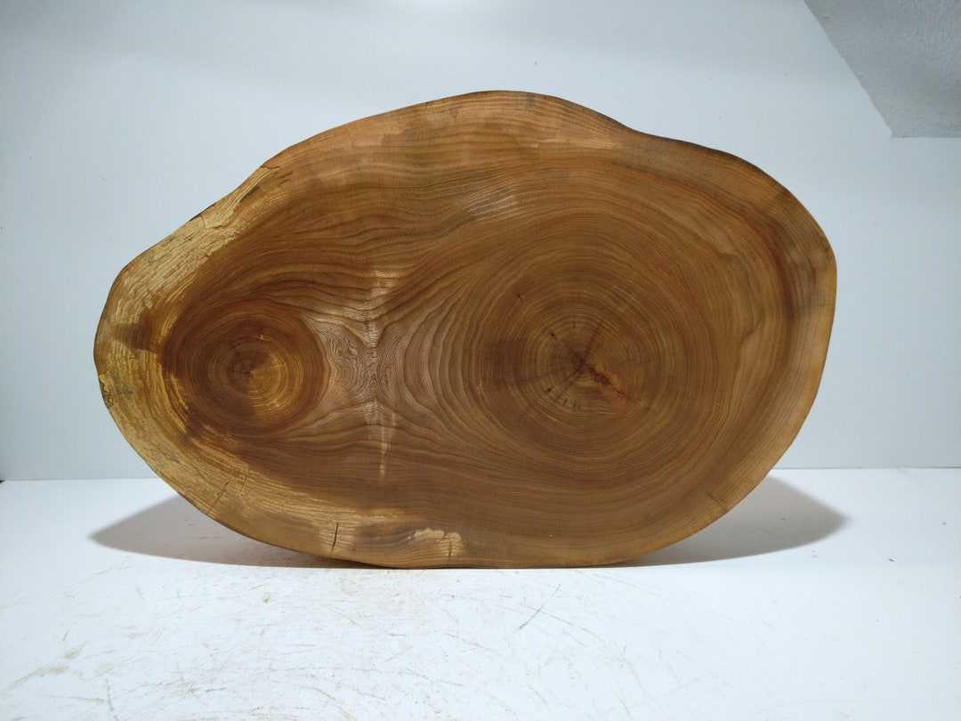 Large, Tree Disc, Double Tree Disc, Wooden Disc, Wood, Wooden ...