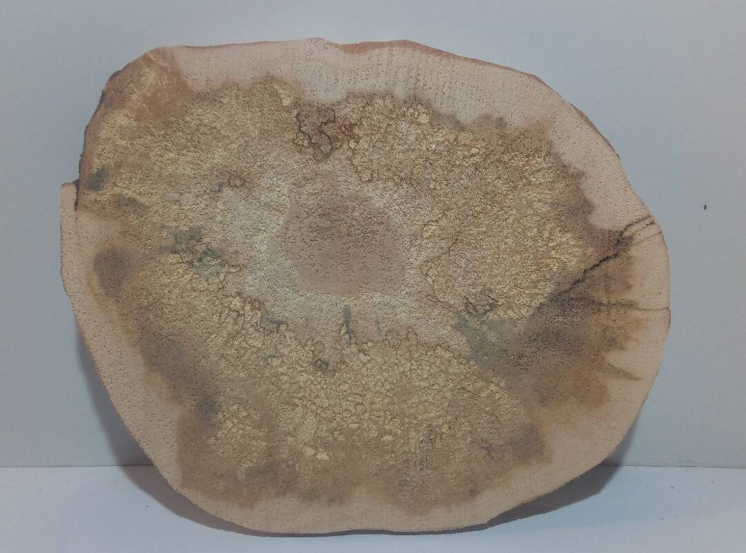 Tree Disc, Wooden Disc, Wood, Wooden Decoration, Craft Wood ...