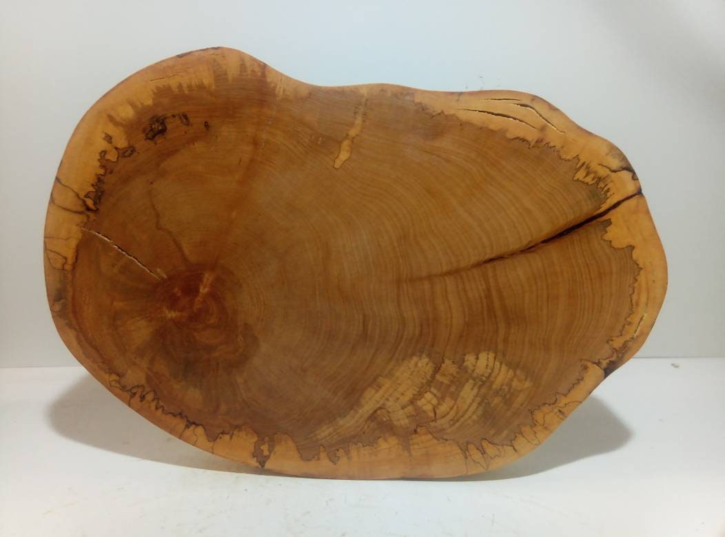 XL Tree Disc wooden Disc wood Decoration Decorative Disc - Etsy