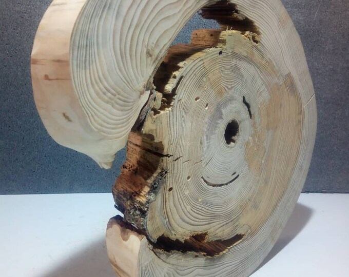 Large Tree Disc, Wooden Disc, Spruce, Wood, Disc, Craft Wood, Wood ...