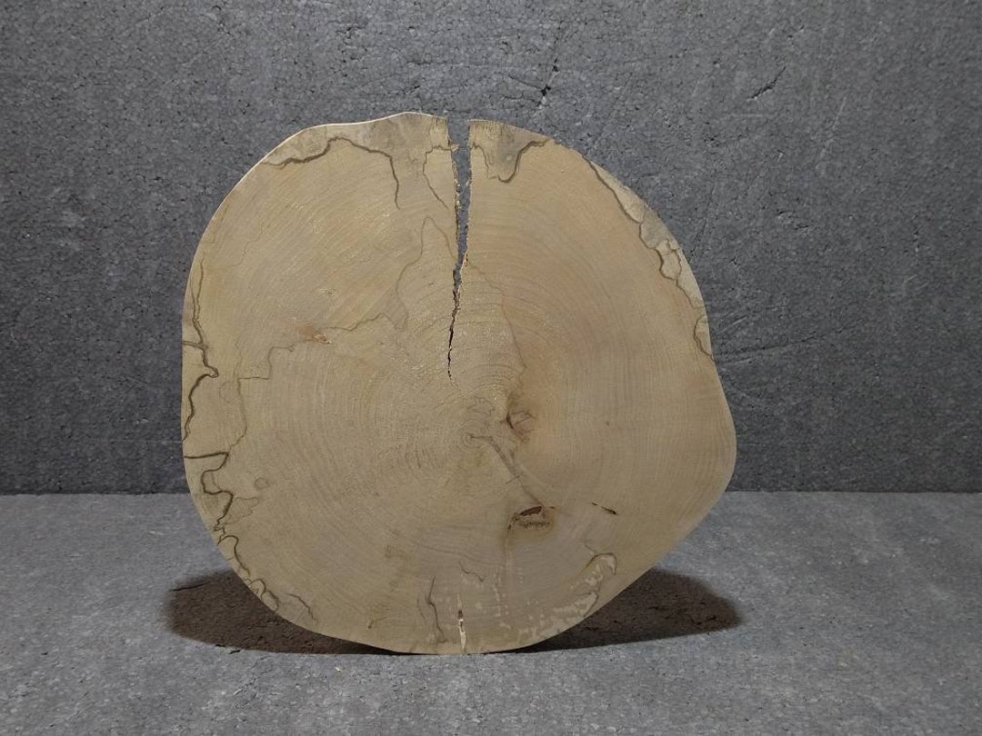 Tree Disc, Wooden Disc, Wood, Wooden Decoration, Bush-hammered Alder, D ...