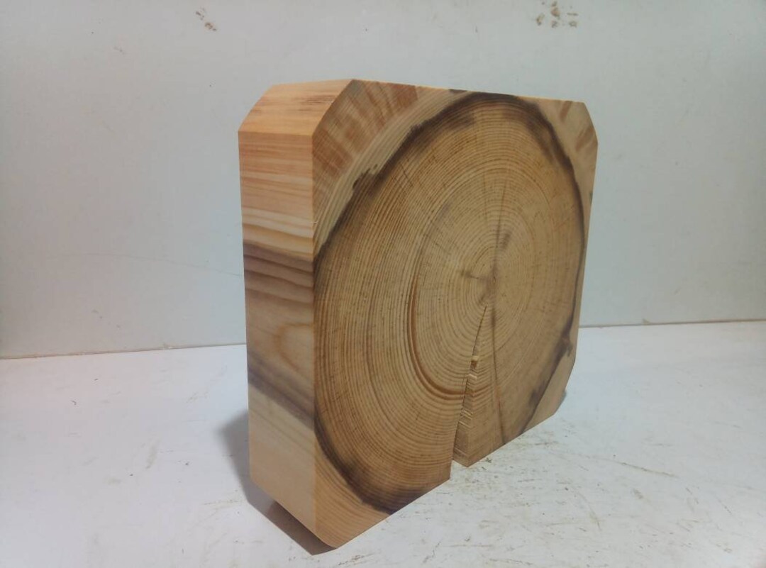 XL Tree Disc, Beam Disc, End Grain, Wooden Disc, Wood, Wooden ...