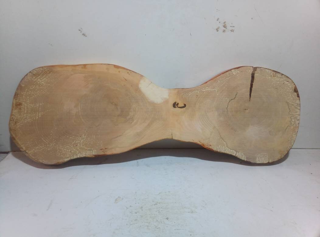 XXL Tree Disc Double Tree Disc Wooden Disc wood wood - Etsy