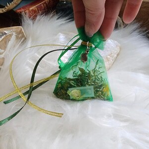 Money Mojo Gris Gris Bag. Prosperity, Abundance, Cash, Affluence, and ...
