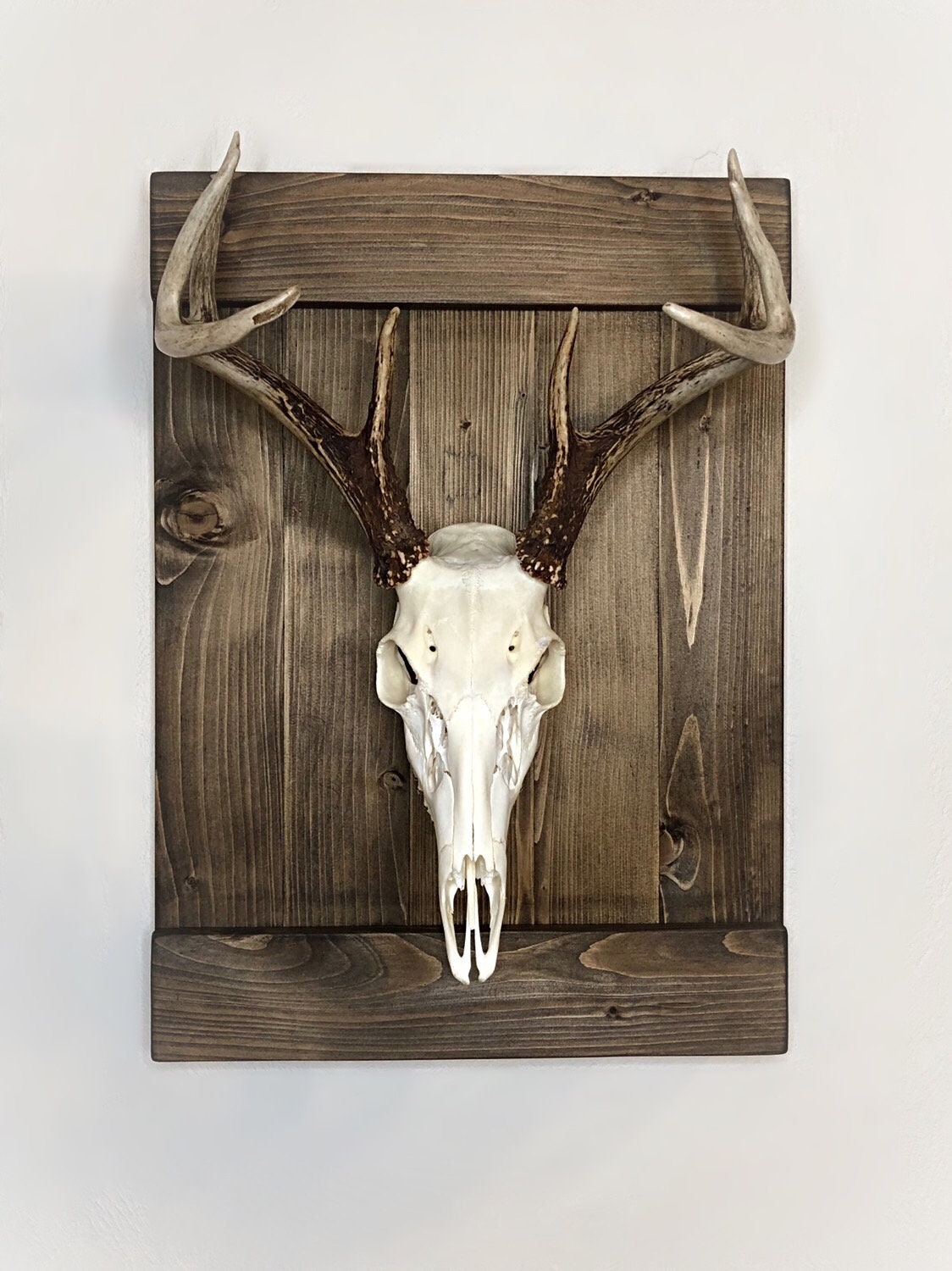 Mounted Deer Head Plaque