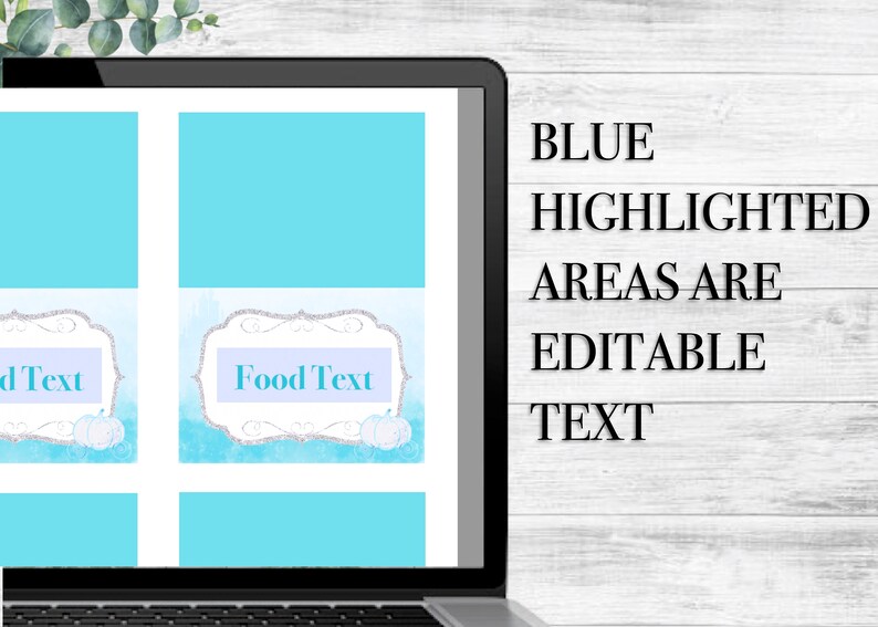 Cinderella Editable Food Tent Labels Editable Food Tent | Etsy