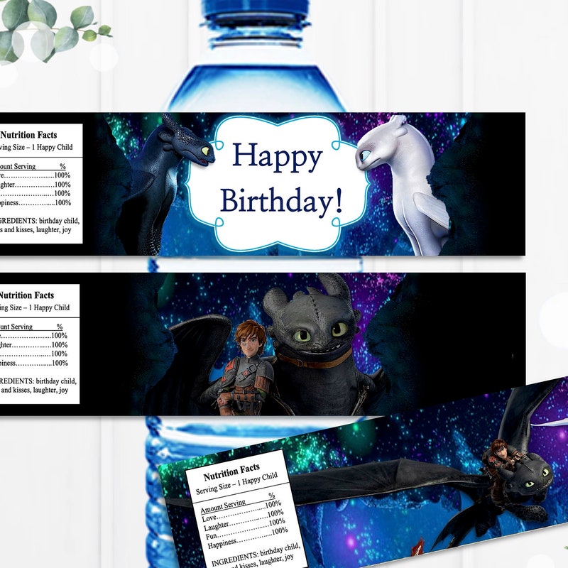 Water Bottle Toothless - Etsy