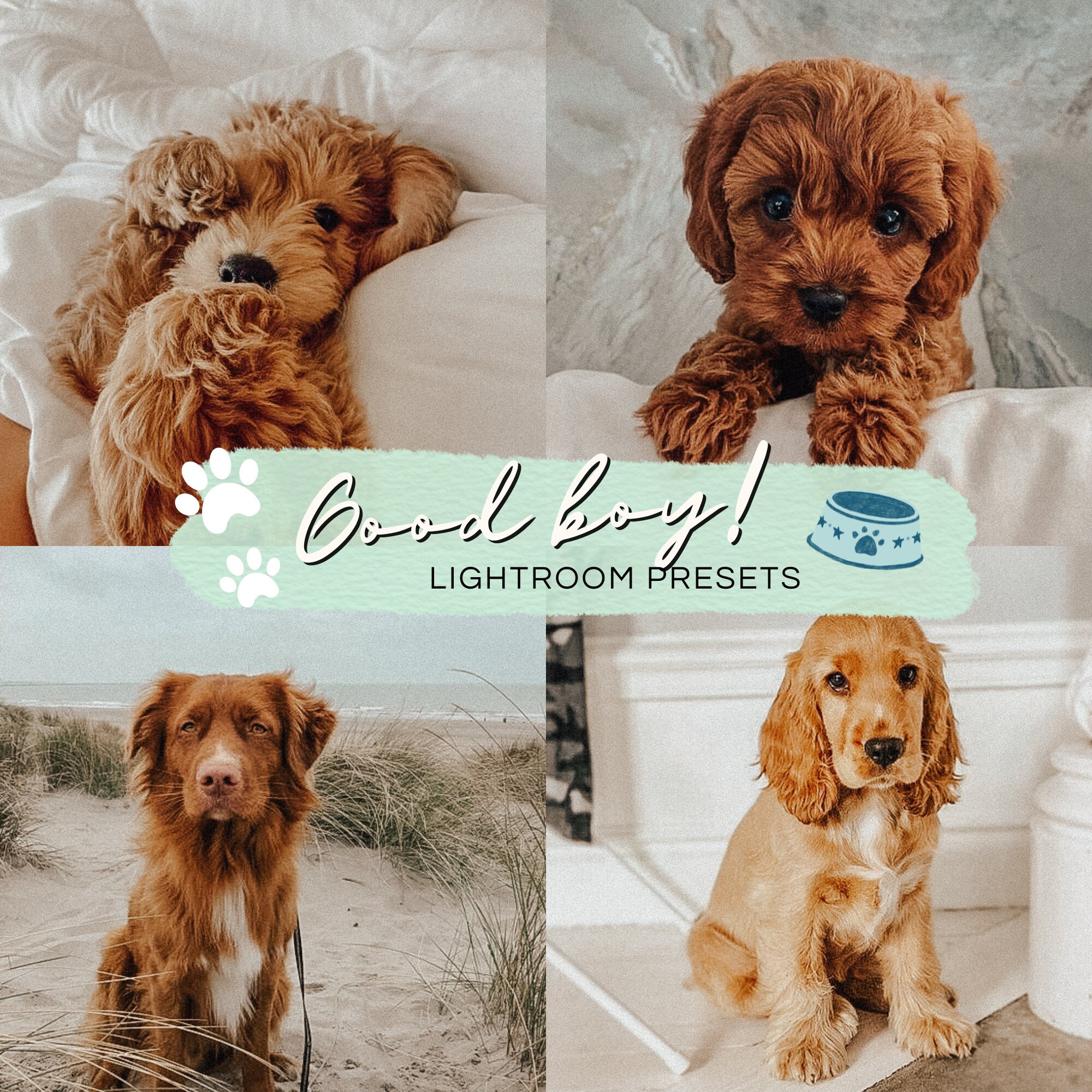 Pet Photography Lightroom Presets | Natural Light Dog and Pet Photo ...