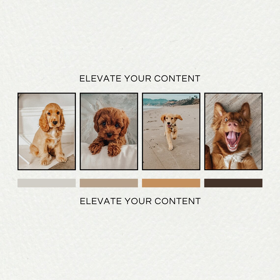 Pet Photography Lightroom Presets | Natural Light Dog and Pet Photo ...