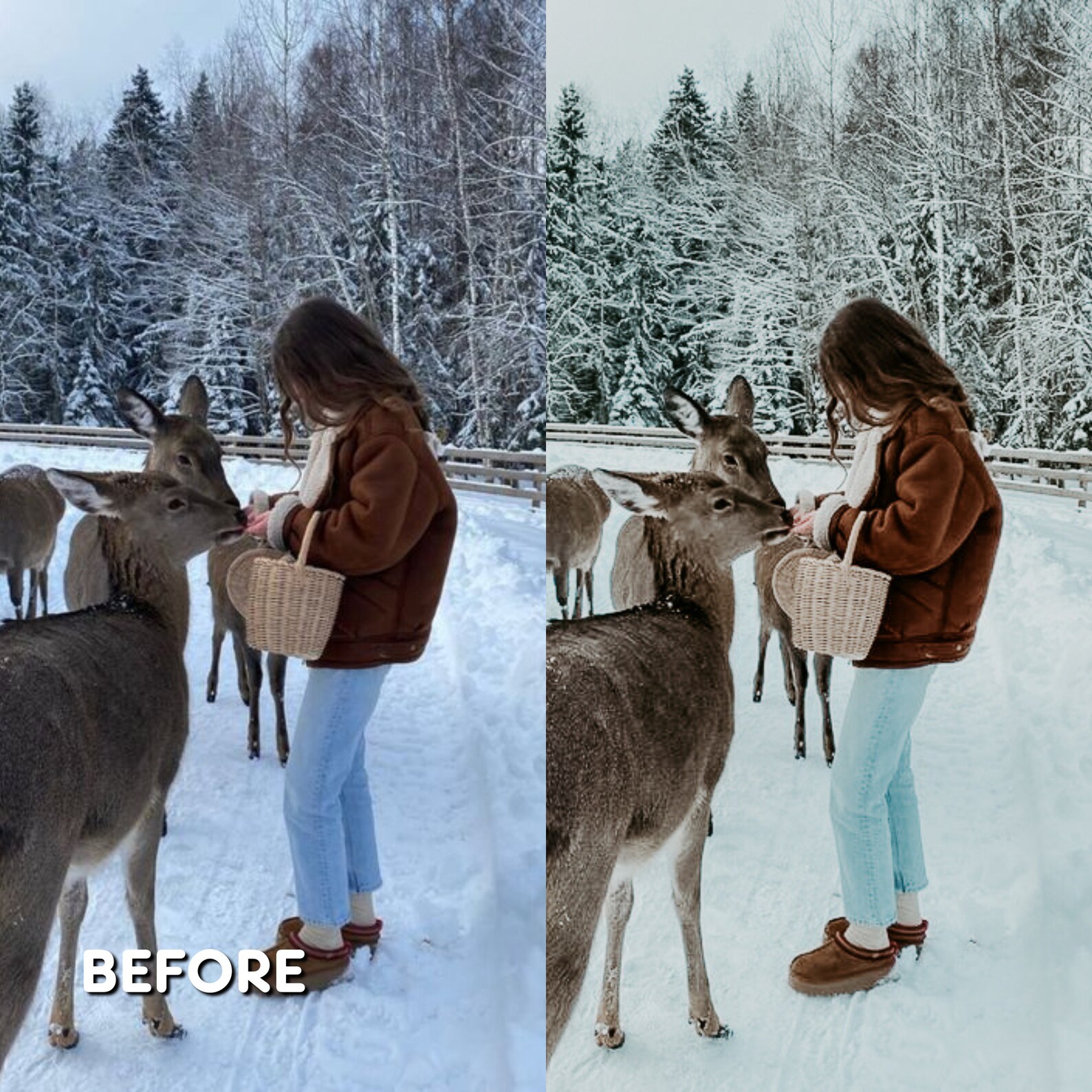 10 Winter Lightroom Presets for Mobile and Desktop | Winter Photo ...