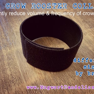 NO CROW ROOSTER Collar - Etsy