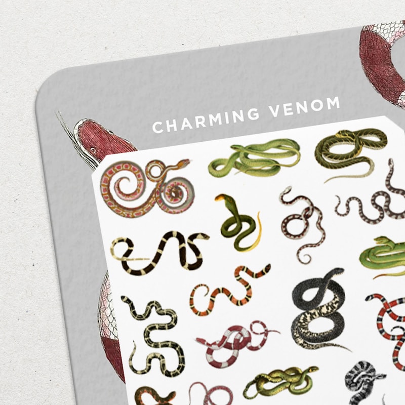 Venom Nail - Etsy