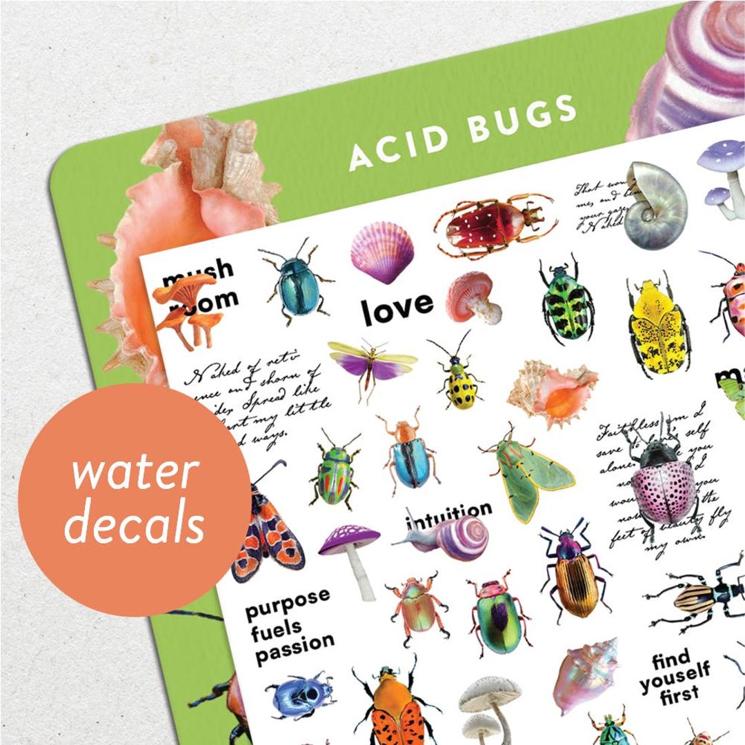 Acid Bugs • Waterslide Nail Decal Set • Vintage Writing, Mushroom Bugs ...