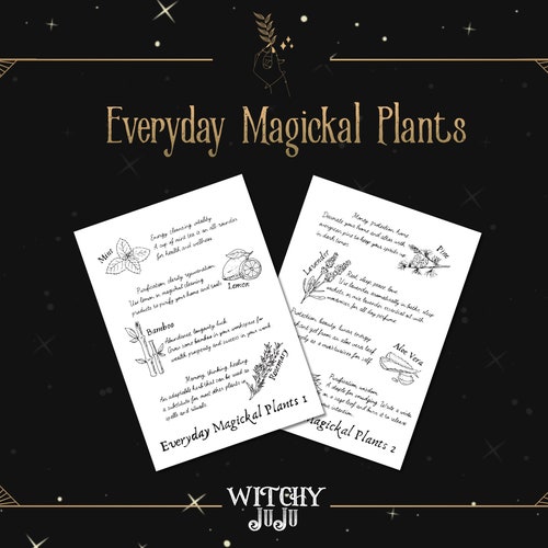 20 PLANTS Herbology Digital Pages for Book of Shadows Herbs - Etsy