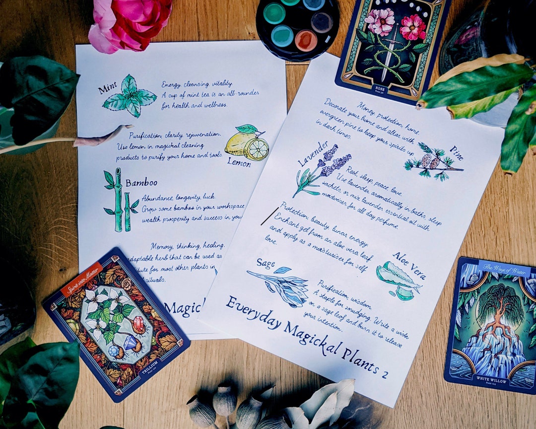 Everyday Magical Plants - Printable Book of Shadows Pages PDF - Etsy
