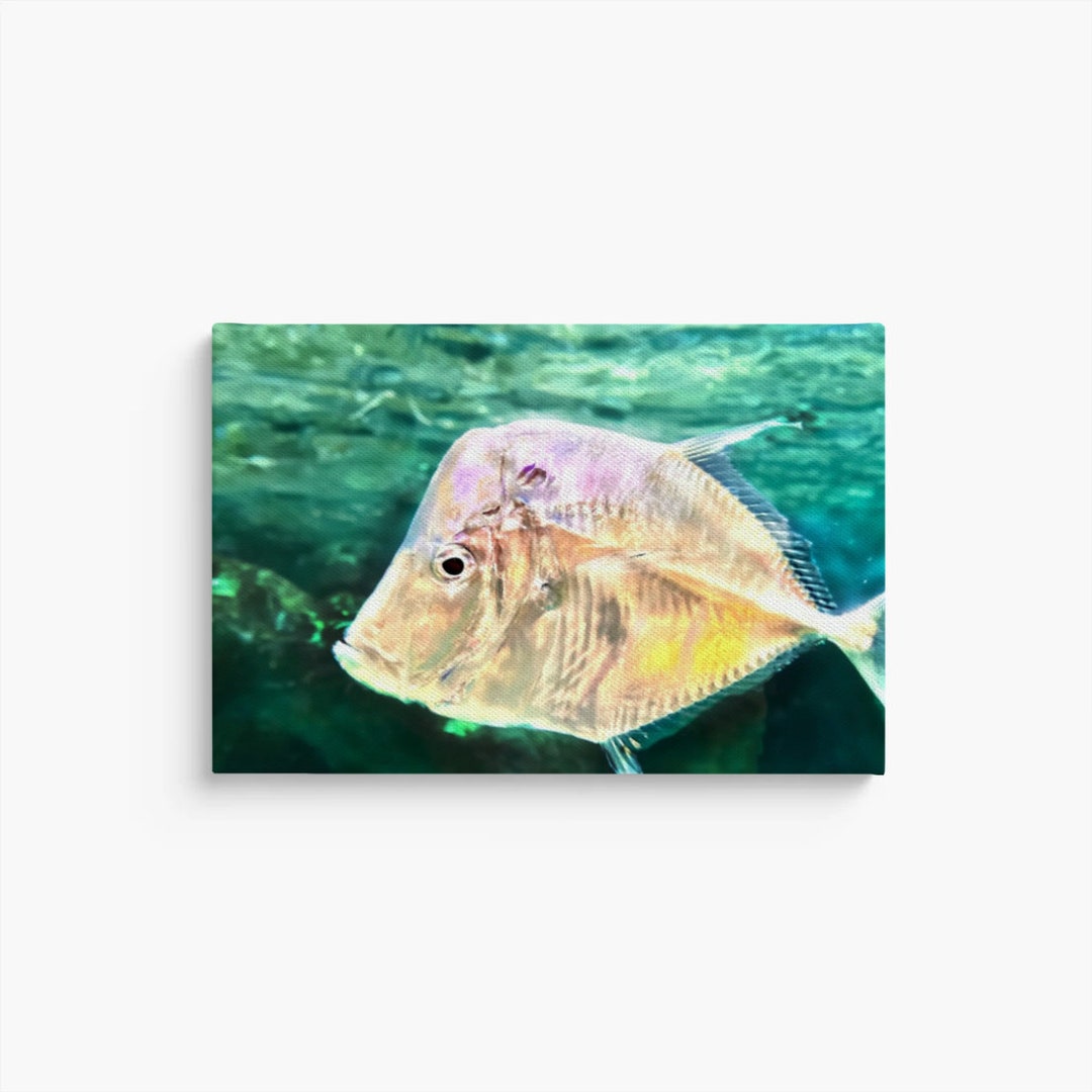 Underwater Predator - Original Photo Canvas Print - Etsy