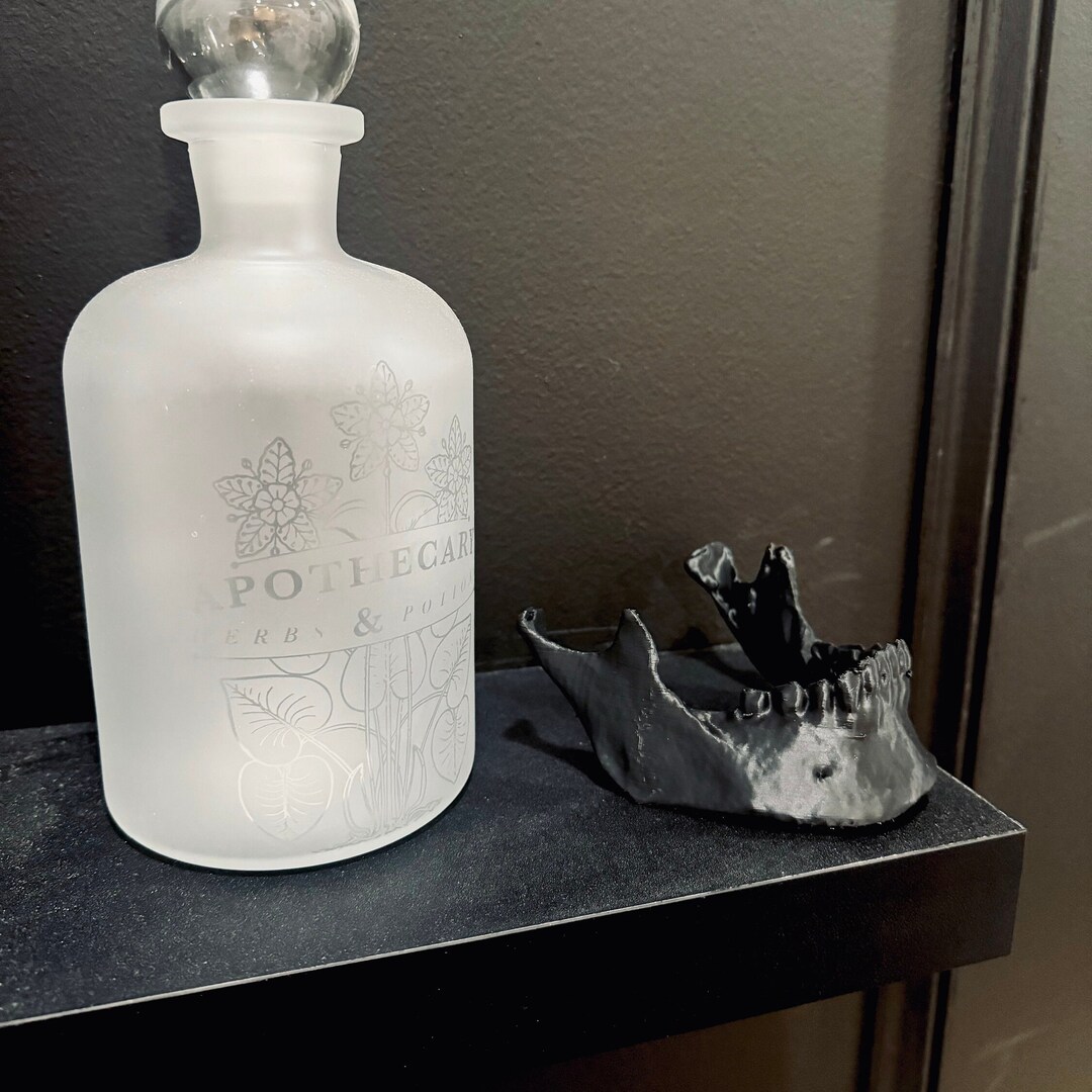 Black Gothic Jaw Bone Replica Desk Decor Goth Black Oddities and ...