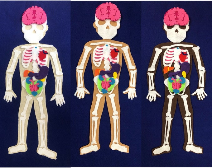 Human Body Felt Puzzle Set With 3 Skin Tones Childrens Anatomy Human ...
