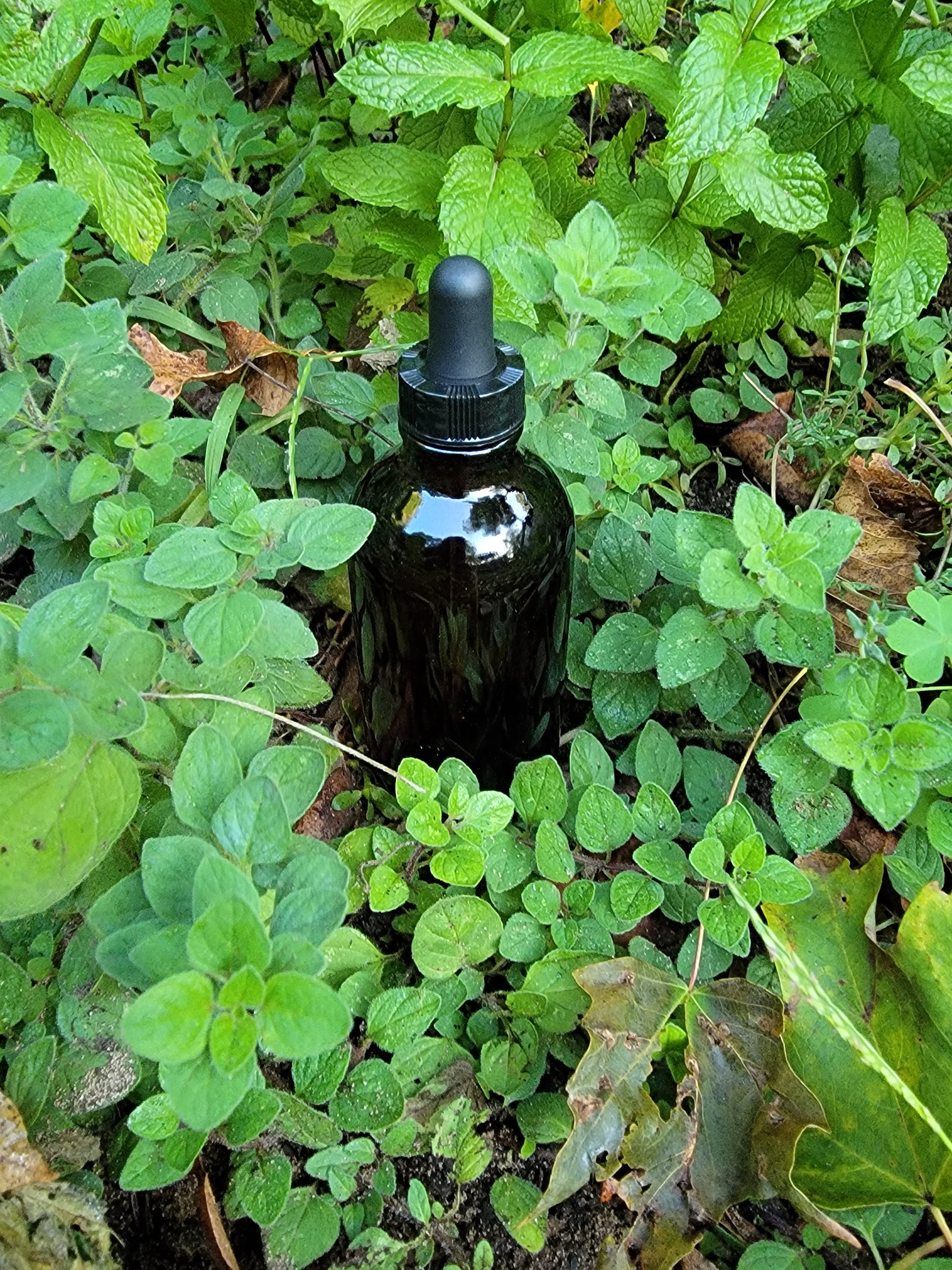 Hedgewitch Flower Essence - Etsy