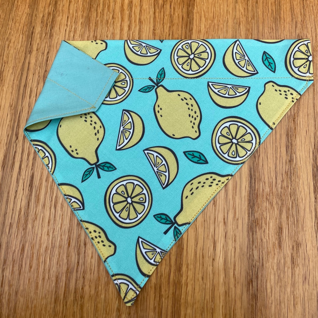 Zesty Cat Bandana - Etsy