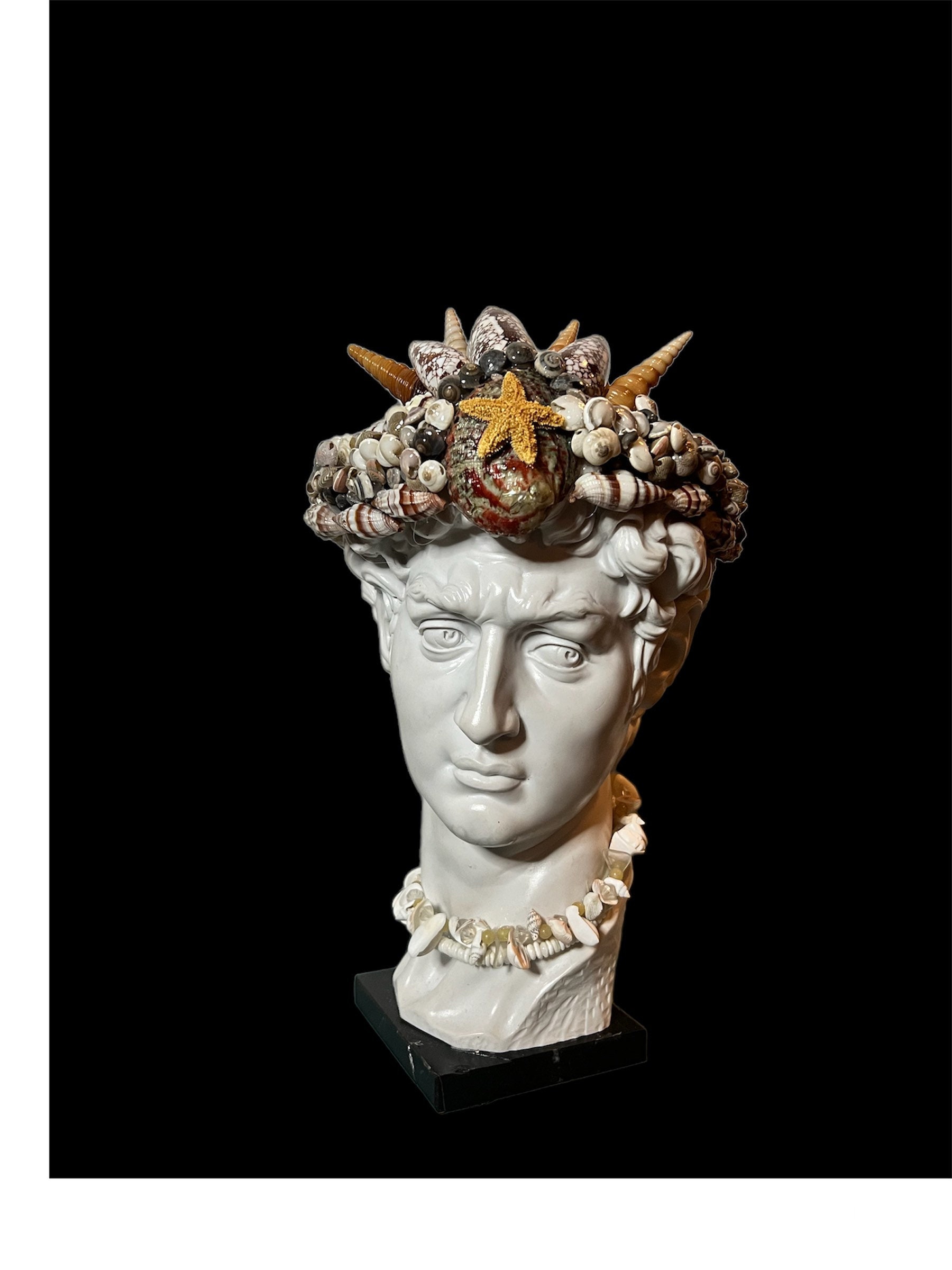 Male Seashell Bust - Etsy