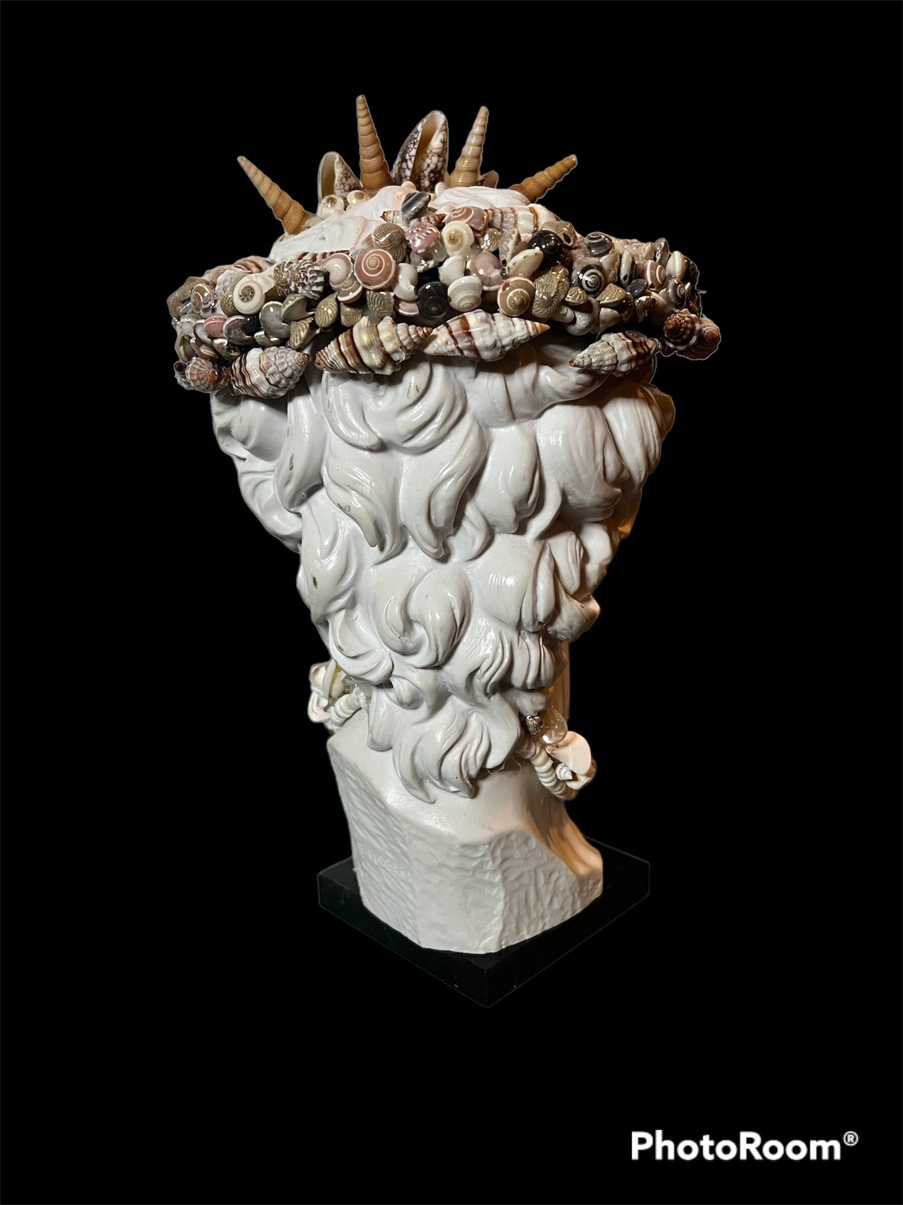 Male Seashell Bust - Etsy