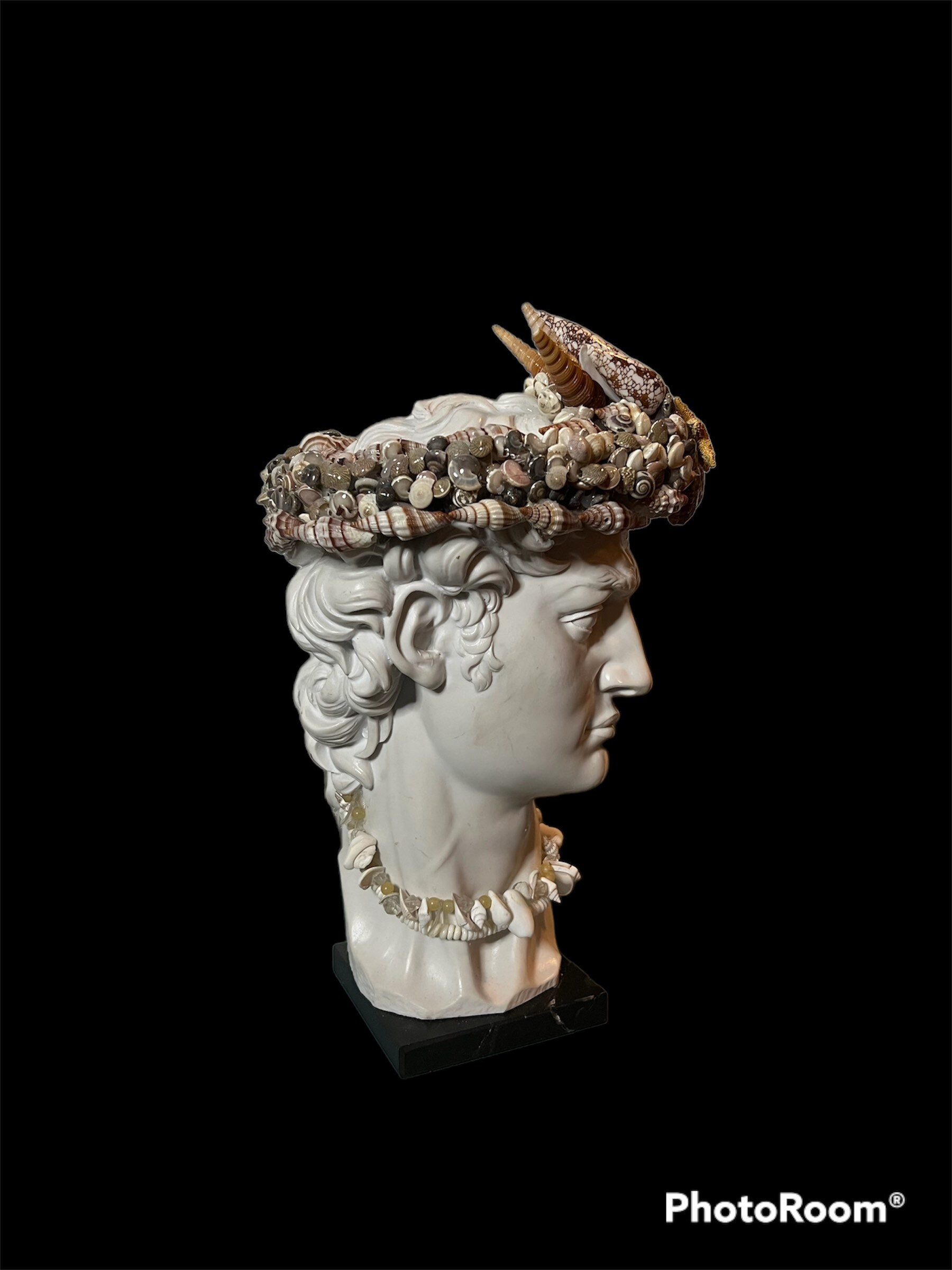 Male Seashell Bust - Etsy