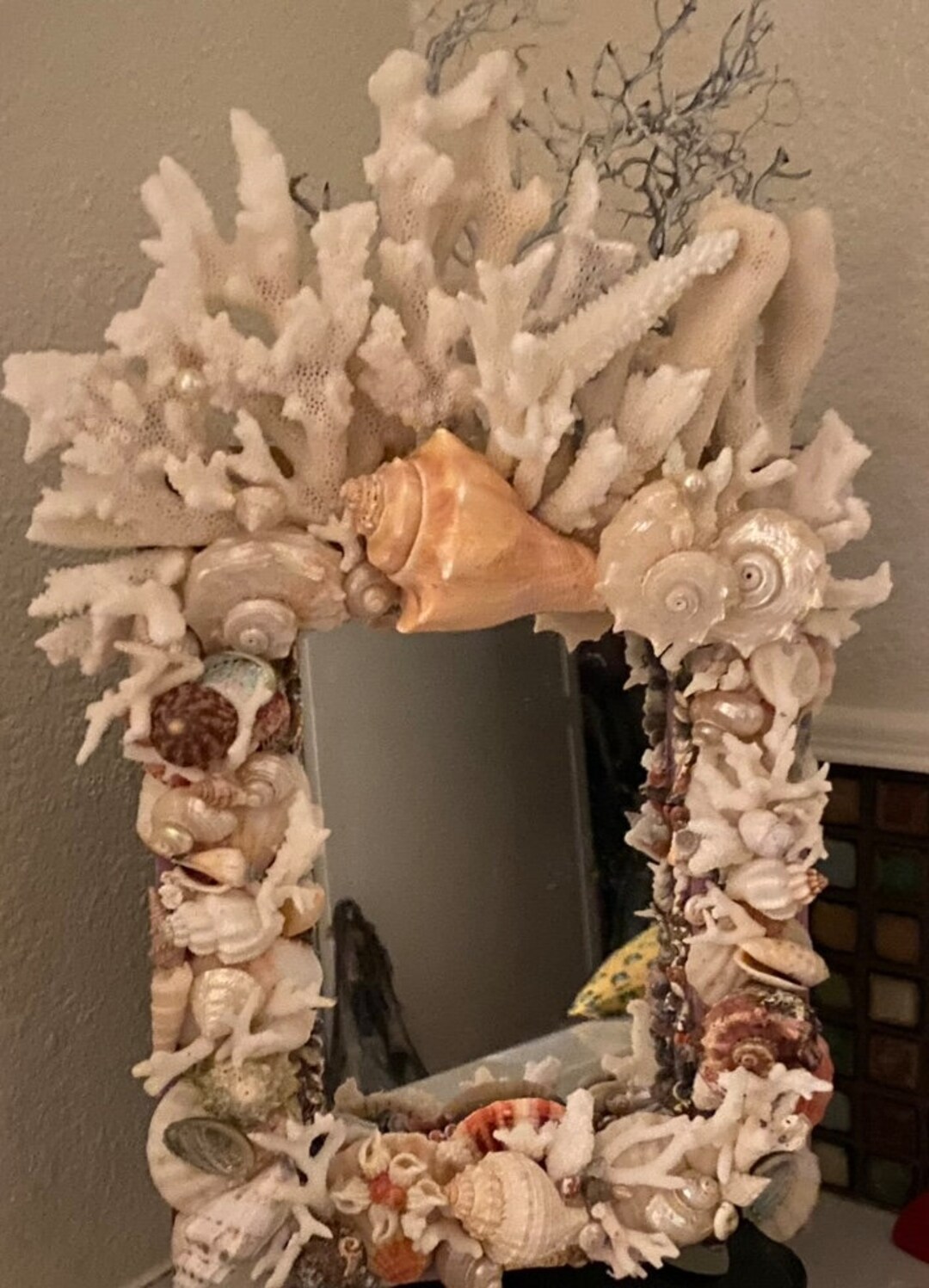 Seashell Mirror - Etsy