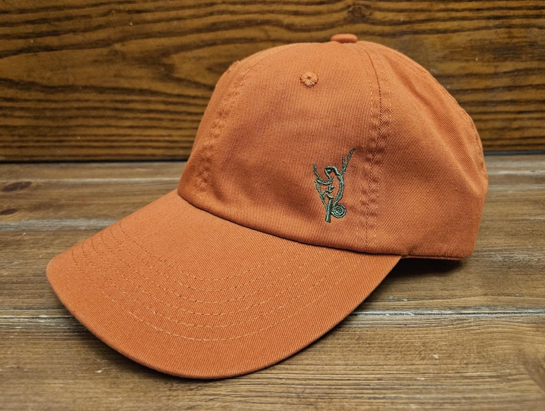 Chameleon Cap - Etsy