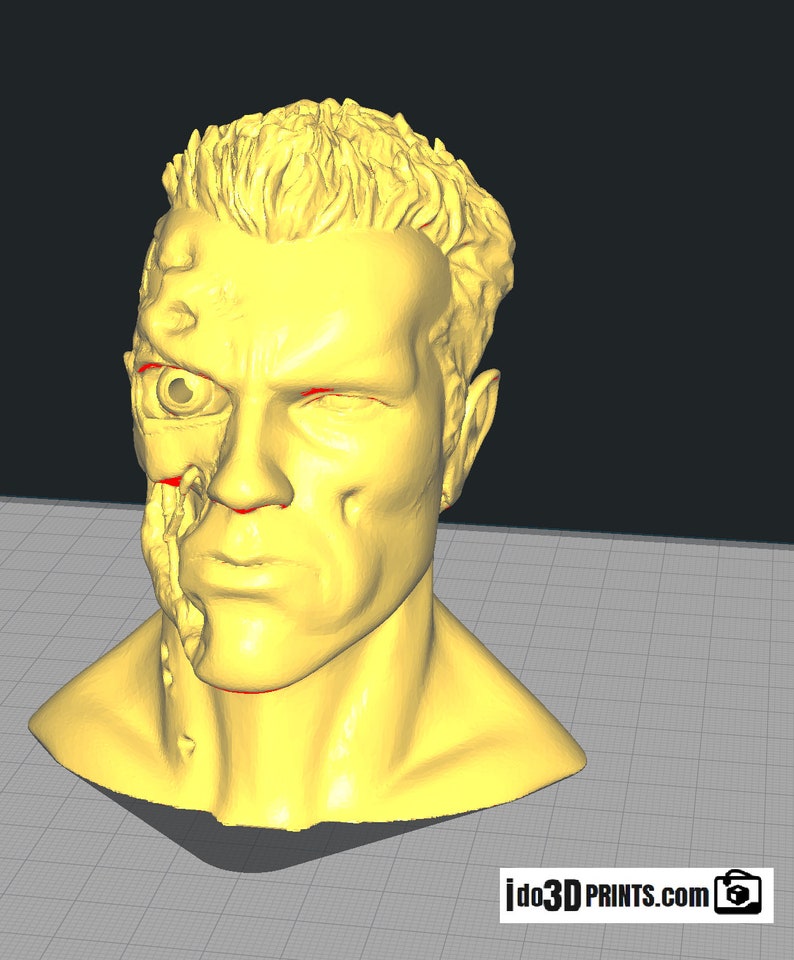 Arnold Schwarzenegger Terminator Bust T800 6.25 Inches Tall | Etsy