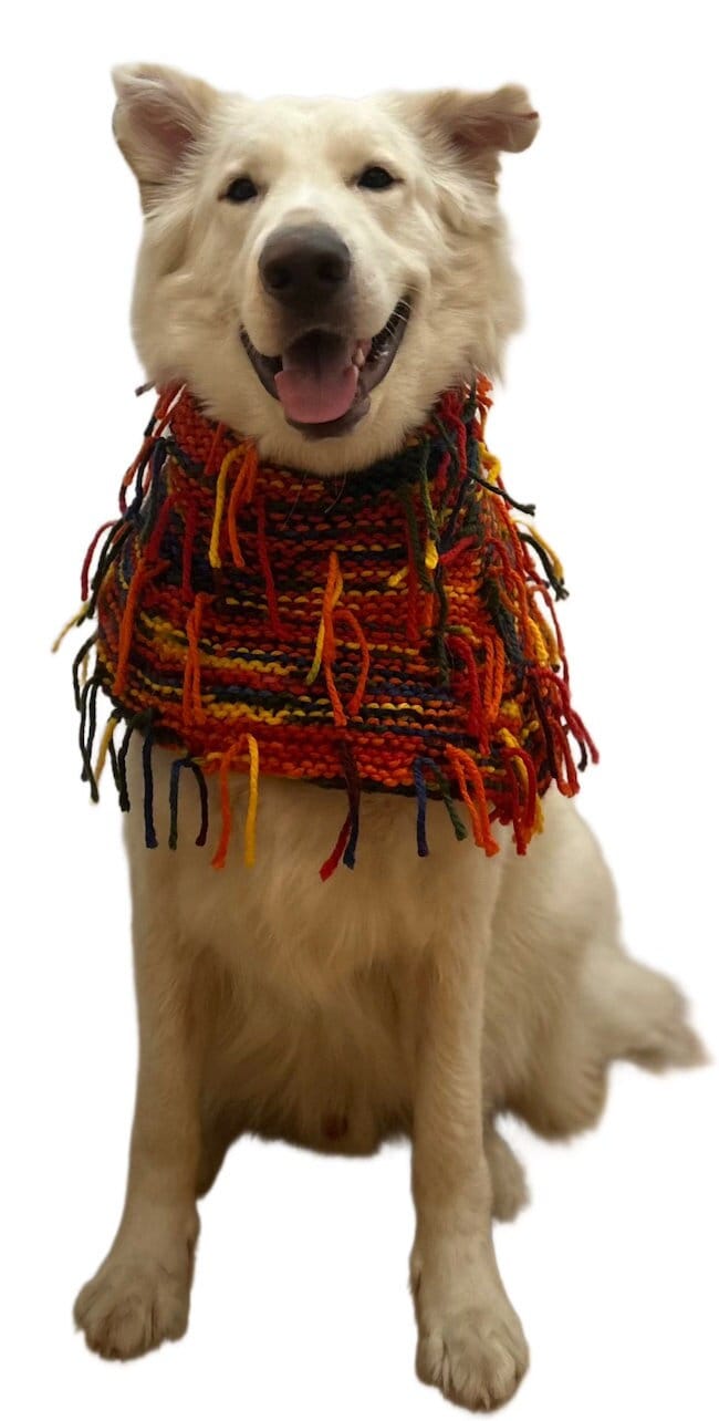 A Multi Color Pet Scarf, Pet Neck Cover-made to Order-choose Your Color ...