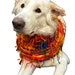 A Multi Color Pet Scarf, Pet Neck Cover-made to Order-choose Your Color ...