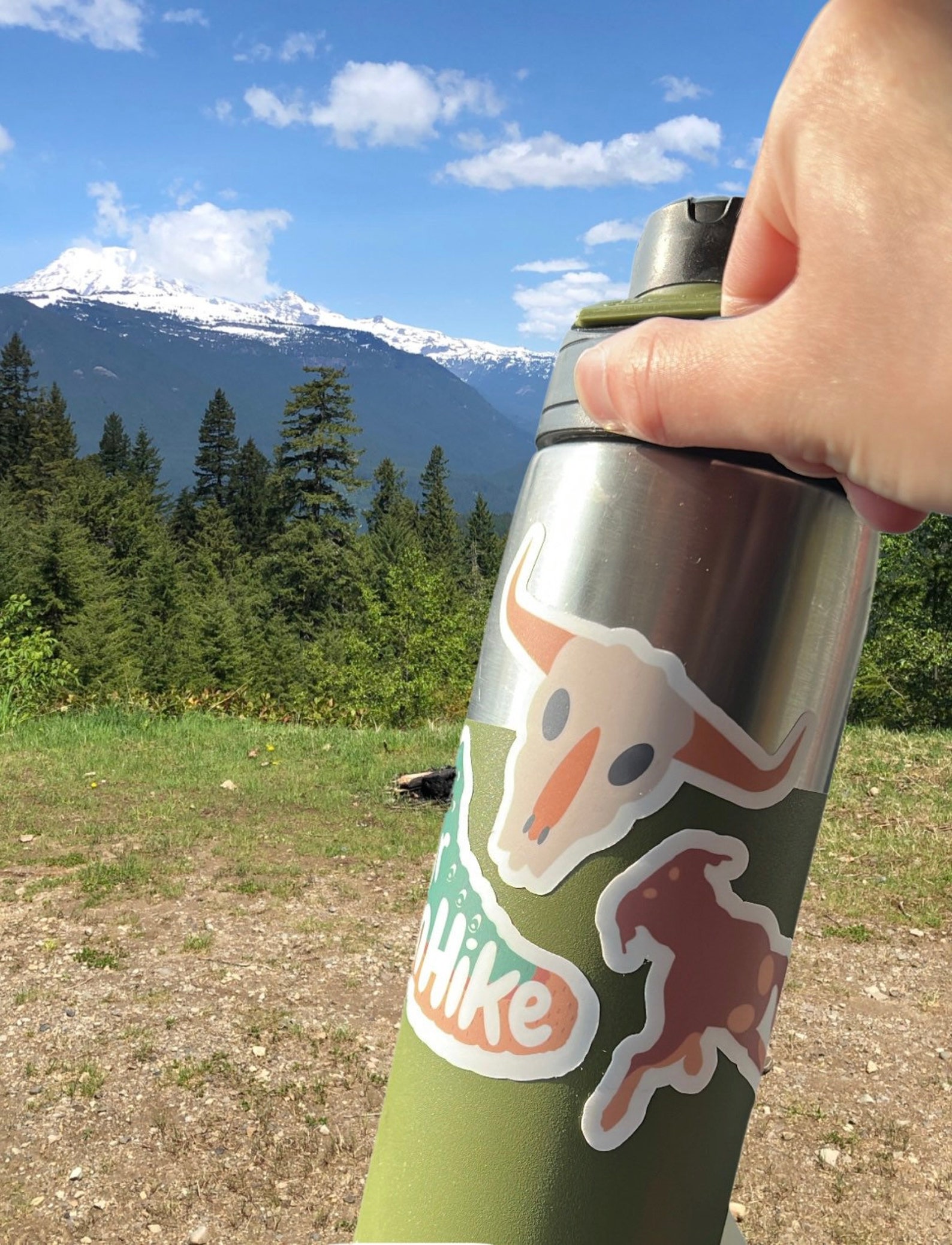 Buck off Horse Rodeo Sticker, Bucking Horse Western Car Decal, Funny ...