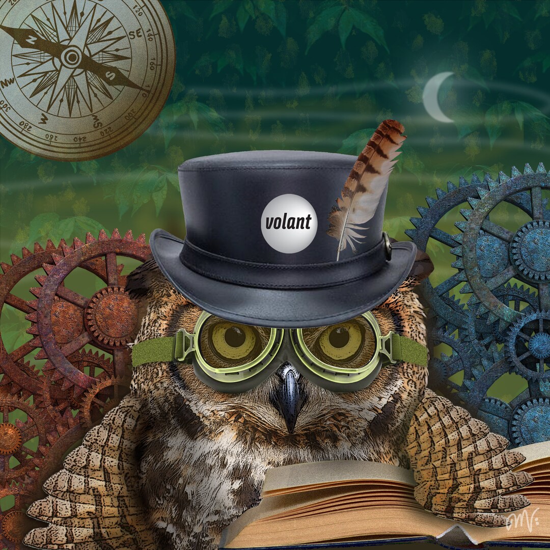 Wise Owl - Steampunk Owl - A Word to the Wise - Book-reading Owl - Wise ...