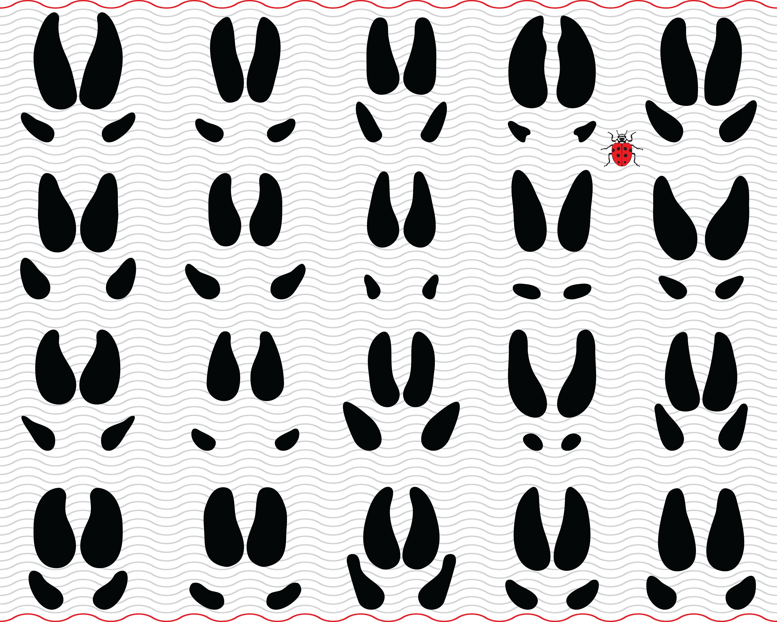 SVG Wild Pigs, Black Footprints Digital Clipart, Wild Pigs Icons Files ...